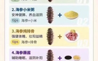 海参怎么做好吃又有营养_海参最营养的吃法
