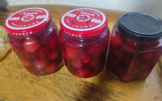 自制杨梅罐头怎么做_杨梅罐头能保存多久