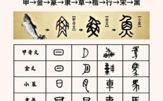 说文解字_汉字起源