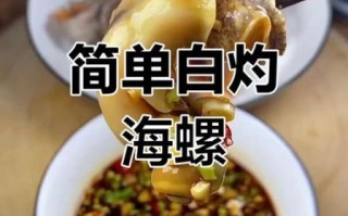 海螺怎么做好吃_海螺怎么吃最鲜