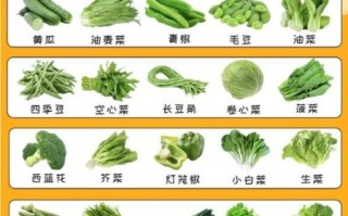 蔬菜种类名称大全500_常见蔬菜有哪些