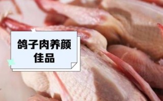 鸽子肉为什么不能吃_鸽子肉禁忌人群