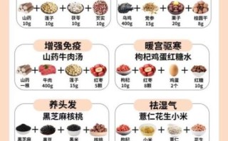 药膳食谱有哪些_如何搭配四季养生