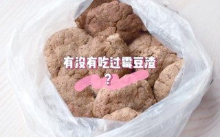 豆腐渣自然发酵方法_如何自制发酵豆腐渣