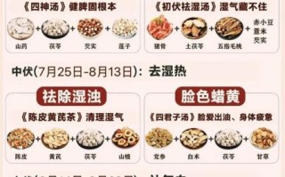 中草药食疗药膳怎么做_适合哪些体质