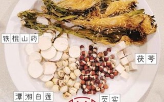 霸王花有什么功效与作用_霸王花怎么吃最好