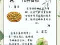 十大健康营养食物有哪些_怎么吃最科学