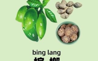 吃槟榔有什么好处和坏处_长期嚼槟榔会致癌吗