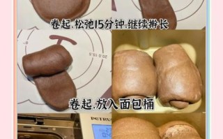 柏翠面包机怎么用_柏翠面包机做吐司教程
