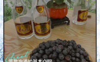 蓝莓泡酒的功效与禁忌_蓝莓泡酒可以天天喝吗