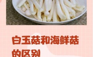 白玉菇图片大全_白玉菇和海鲜菇的区别