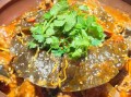 甲鱼怎么炖好吃又营养_家常甲鱼汤做法
