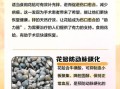 经常吃花蛤的危害_花蛤吃多了有什么坏处