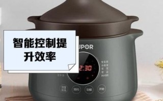 苏泊尔电炖锅食谱大全_苏泊尔电炖锅怎么炖汤好喝