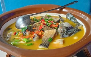 鱼头汤怎么做好吃_鱼头汤去腥增鲜窍门