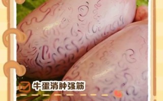 吃牛蛋晚上真的壮阳吗_牛鞭牛蛋哪个效果更好