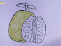 柚子简笔画怎么画_柚子简笔画步骤图