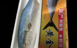 黄金鲅鱼的营养价值_黄金鲅鱼的功效与作用