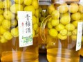 青梅酒的做法及比例_青梅酒用什么酒最好