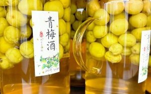 青梅酒的做法及比例_青梅酒用什么酒最好