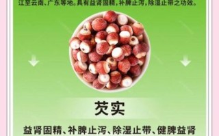 鲜芡实怎么吃_鲜芡实的功效与作用