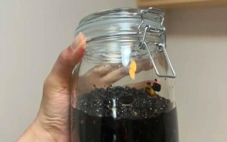 醋泡黑豆吃了三年以后_身体变化有哪些