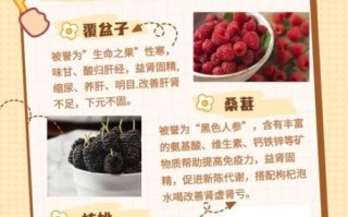 补肾食物排名_哪些食物补肾效果最好