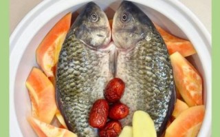 鲫鱼木瓜汤的功效与作用_孕妇能喝吗