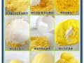 玉米面馒头最佳配方比例_玉米面和白面怎么搭配才松软