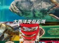 龙趸石斑鱼的营养价值_龙趸石斑鱼的功效与作用