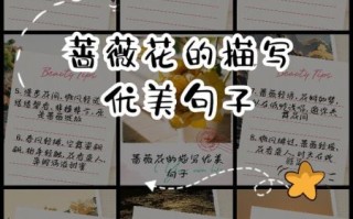 花语短句唯美句子有哪些_如何写出打动人心的花语文案