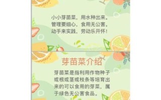 芽苗菜怎么种_芽苗菜种植方法