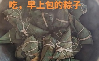 粽叶煮多久才能包粽子_粽叶煮多长时间最合适