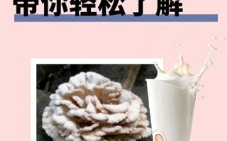 雪莲菌泡牛奶有什么危害_长期饮用副作用