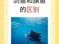 旗鱼和剑鱼有什么区别_旗鱼剑鱼哪个更快