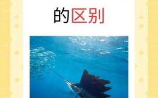 旗鱼和剑鱼有什么区别_旗鱼剑鱼哪个更快