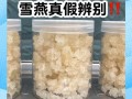 雪燕是什么样子_雪燕真假怎么分辨