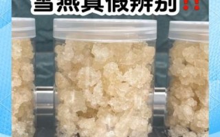 雪燕是什么样子_雪燕真假怎么分辨