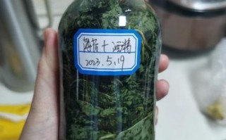 金银花露下厨房做法_金银花露功效与禁忌