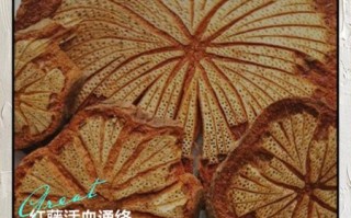 红藤的功效与作用有哪些_红藤主治什么病