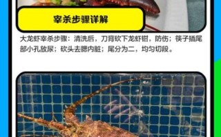 龙虾怎么杀_龙虾宰杀步骤图解