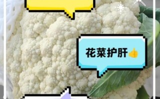 香花菜孕妇能吃吗_香花菜的功效与作用