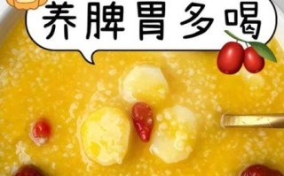 红枣粥养胃还是伤胃_红枣粥适合胃不好的人吗