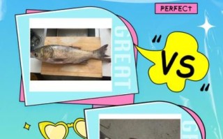 鲢鱼和鳙鱼的区别_如何一眼分辨白鲢和花鲢