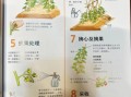 西红柿什么时候种最合适_西红柿种植方法步骤
