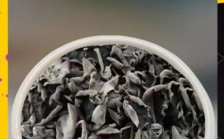 黑木耳煮多久能熟_干木耳泡发后几分钟能煮好