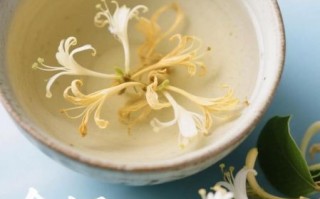 金银花露怎么做_金银花露能保存多久