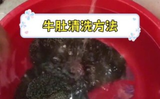 生牛肚怎么清洗_生牛肚焯水多久才脆
