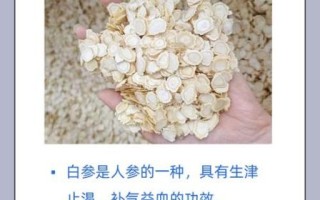白干参的功效与作用_白干参怎么吃效果最好