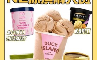 冰淇淋哪个牌子最好吃_什么口味最推荐